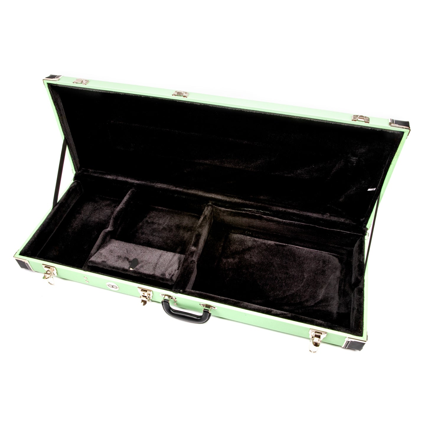 Allen Eden Seafoam Green Hard Shell Guitar Case for Strat / Tele Style – AE Guitars